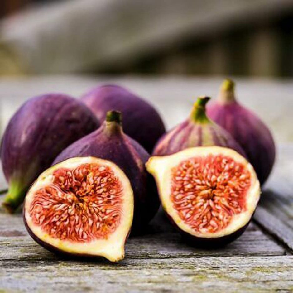Figs – Grub Americana